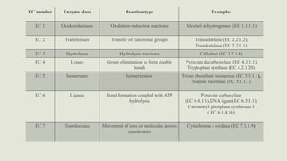 Classification of enzymes | PPTX