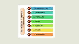 Classification of enzymes | PPTX