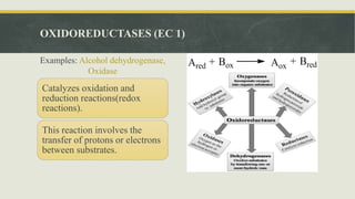 Classification of enzymes | PPTX