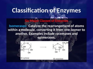 classification_of_enzymes_ppt1Class.pptx