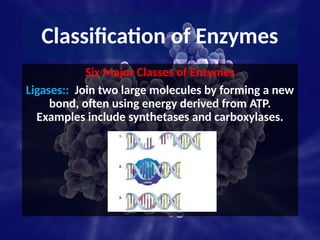 classification_of_enzymes_ppt1Class.pptx