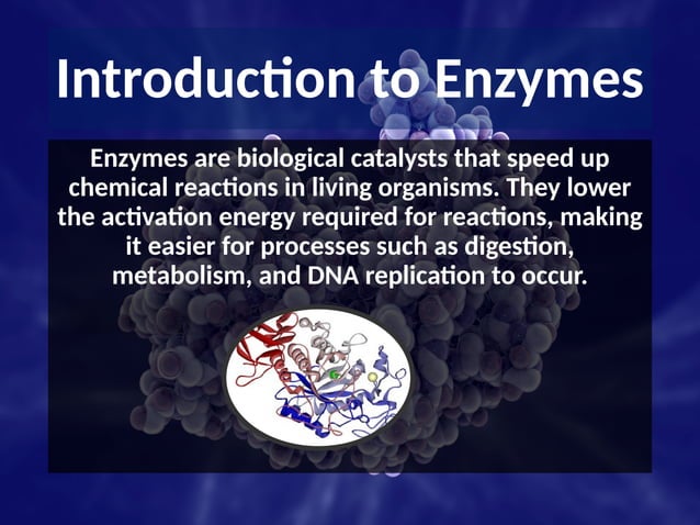 classification_of_enzymes_ppt1Class.pptx