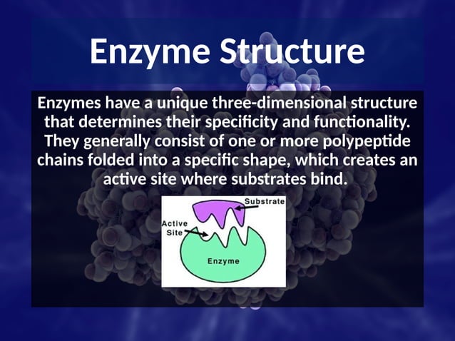 classification_of_enzymes_ppt1Class.pptx