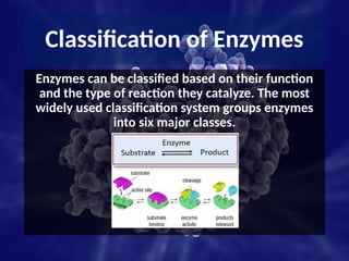 classification_of_enzymes_ppt1Class.pptx
