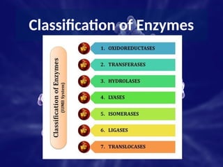 classification_of_enzymes_ppt1Class.pptx