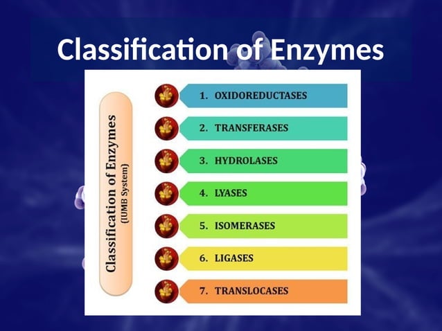 classification_of_enzymes_ppt1Class.pptx
