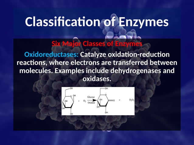 classification_of_enzymes_ppt1Class.pptx