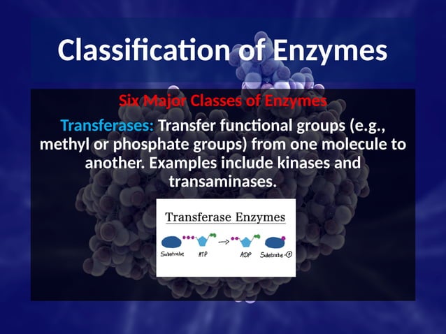 classification_of_enzymes_ppt1Class.pptx