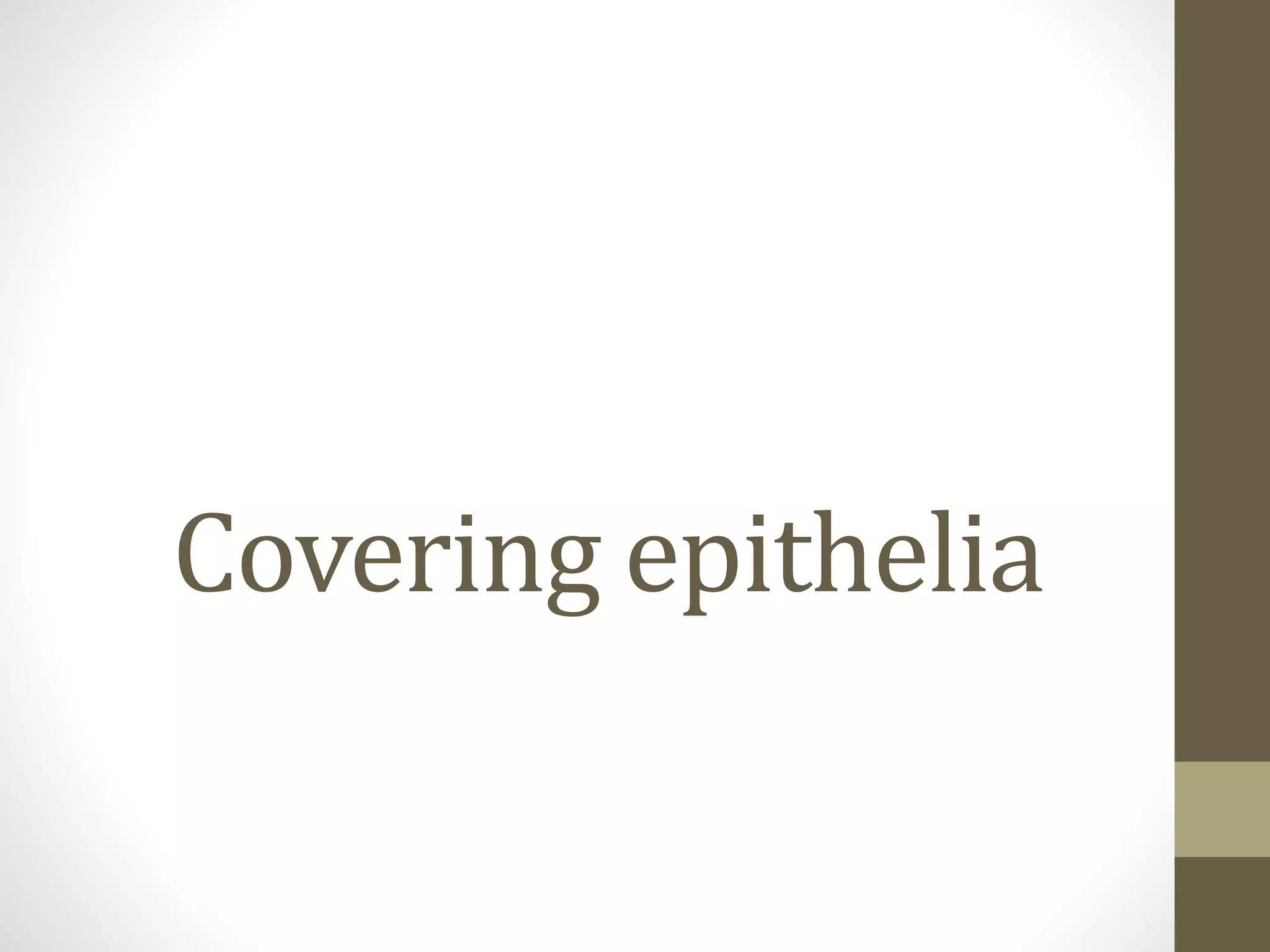 Classification of epithelium - amjad al.bleahid | PPTX