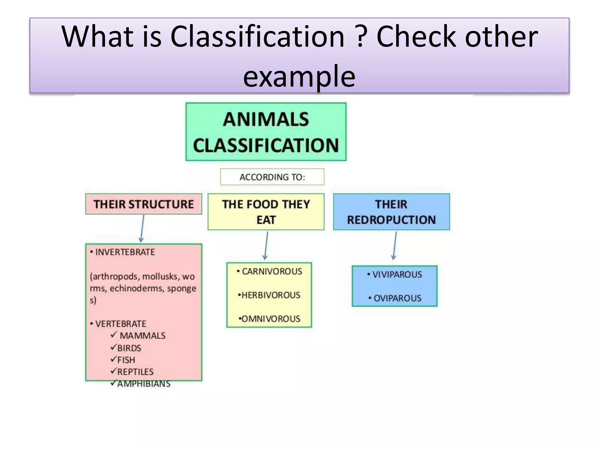 Classification of expenditure recent changes 07.01.2021