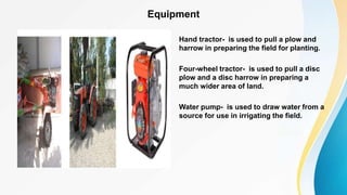 CLASSIFICATION OF FARM TOOLS- TLE Agricrops Production.pptx