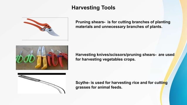 CLASSIFICATION OF FARM TOOLS- TLE Agricrops Production.pptx ...