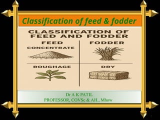 classification of feed and fodder nutrition.ppt