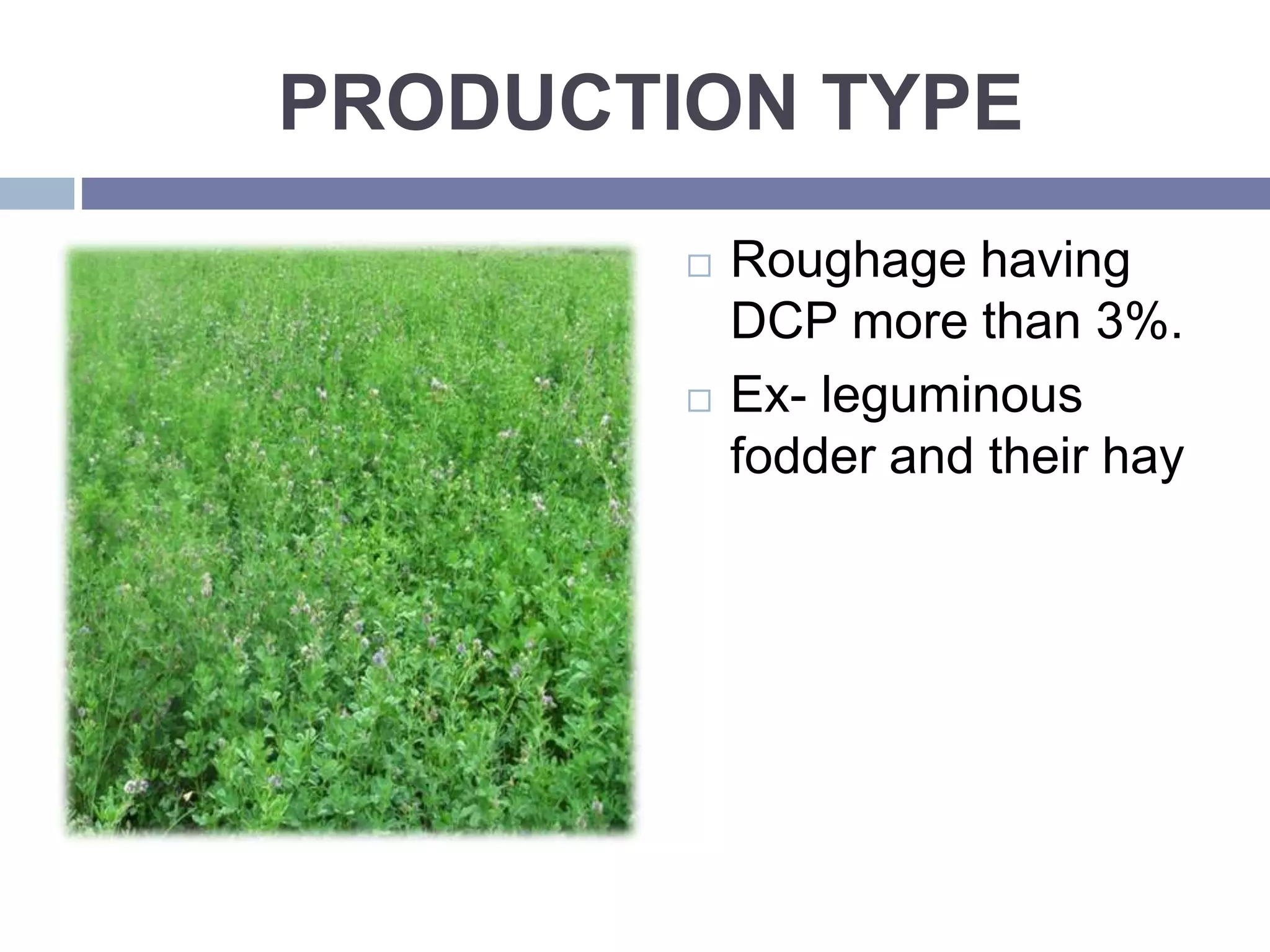 Classification of feed and forages | PPTX