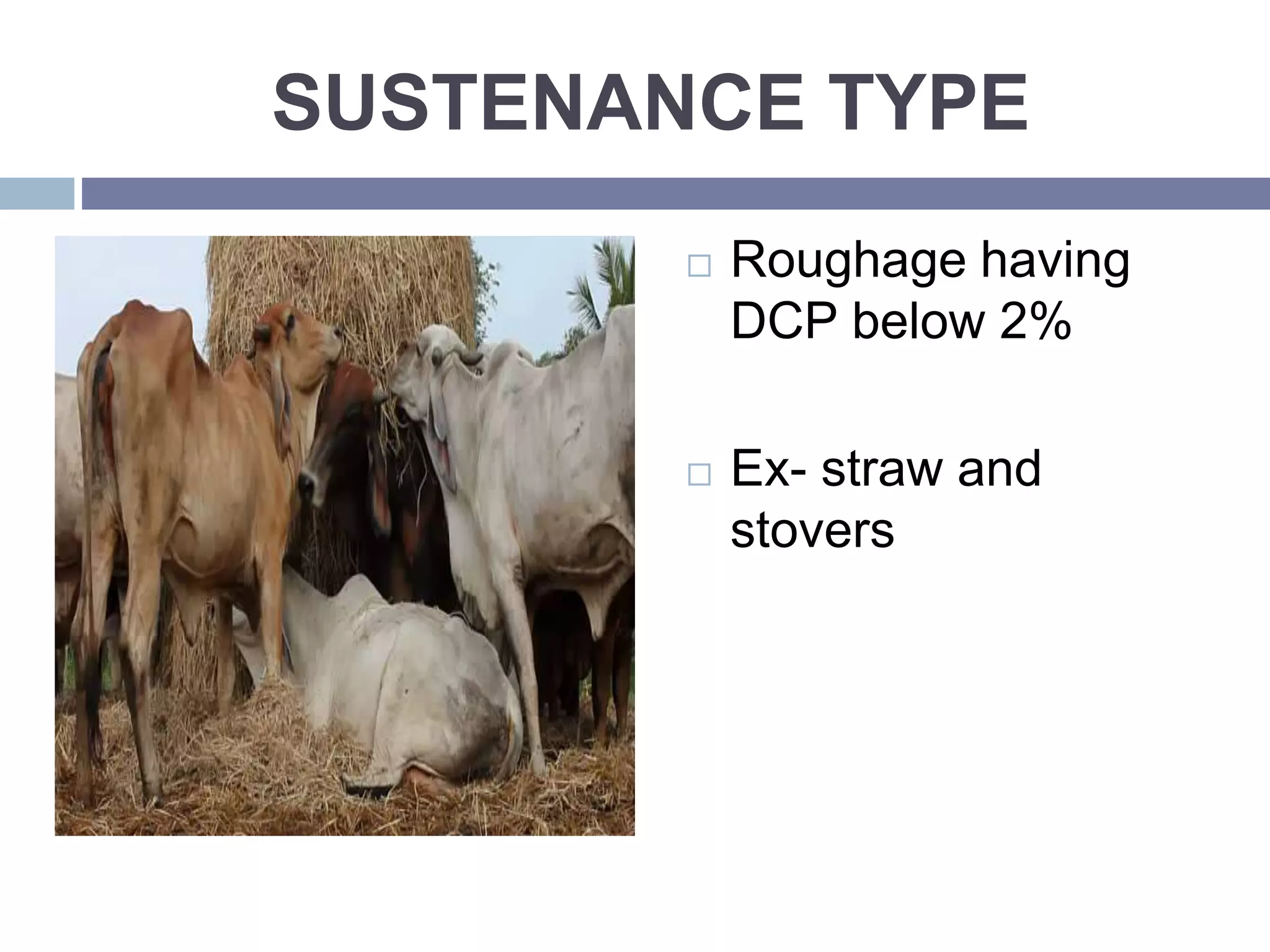 Classification of feed and forages | PPTX