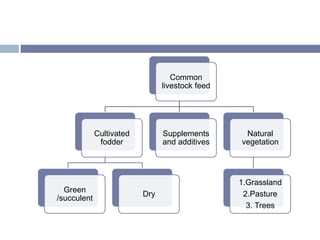 Classification of feed and forages | PPTX