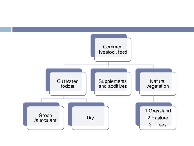 Classification of feed and forages