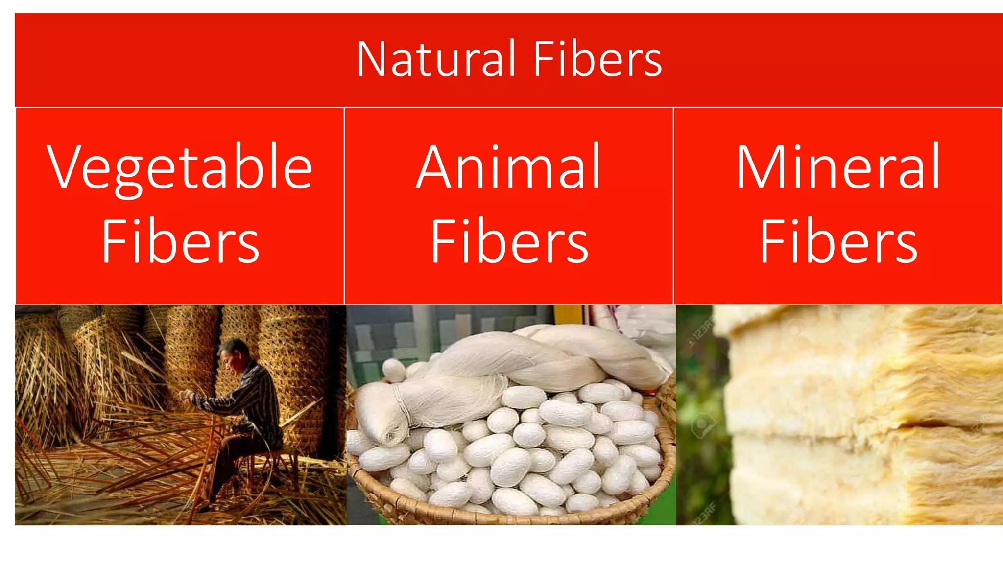 Classification of fibers | PPTX