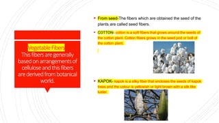 Classification of fibers | PPTX
