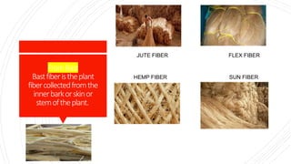 Classification of fibers | PPTX
