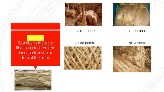 Classification of fibers | PPTX