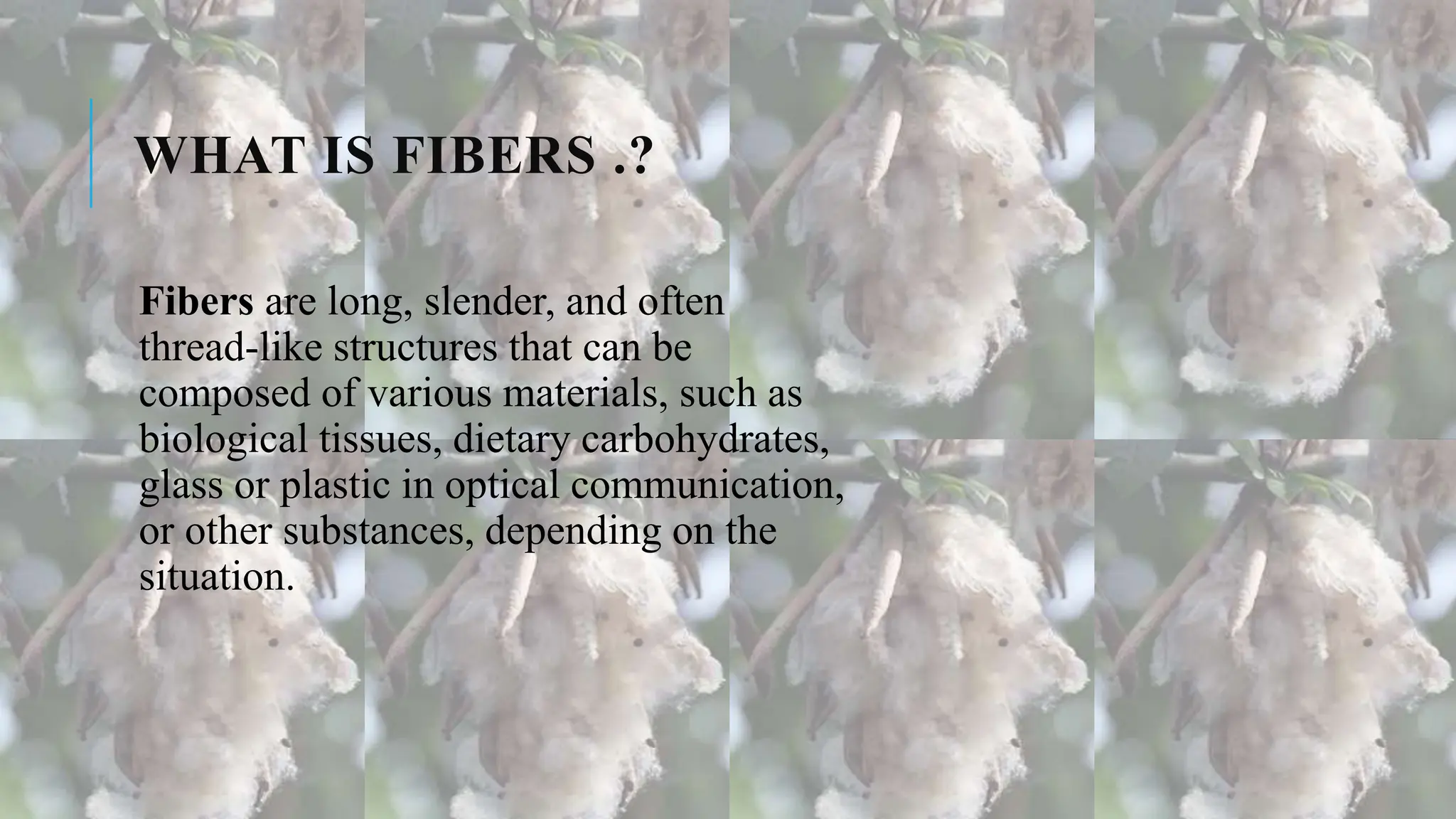 Classification of fibers and their matching properties.pptx