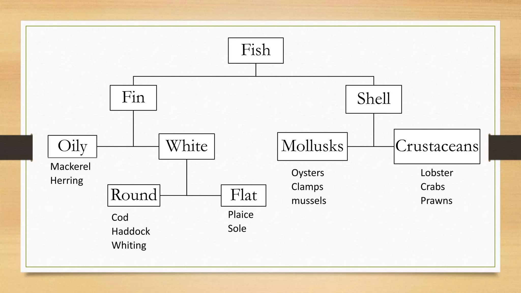 CLASSIFICATION OF FISH. PPT.pptx