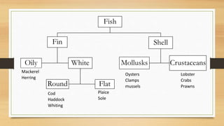 CLASSIFICATION OF FISH. PPT.pptx