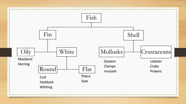 CLASSIFICATION OF FISH. PPT.pptx