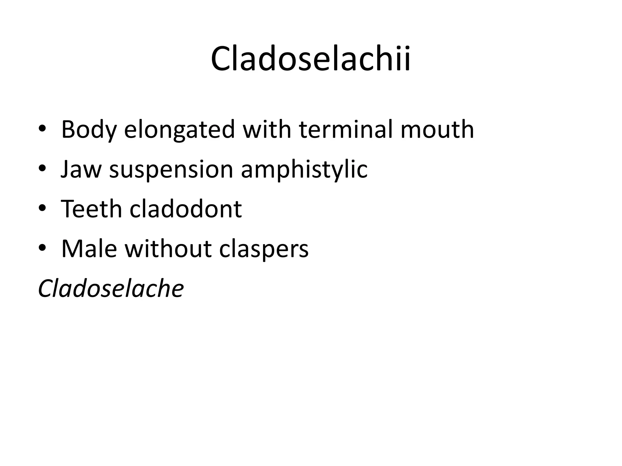 Classification of fishes | PPTX