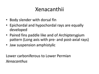 Classification of fishes | PPTX