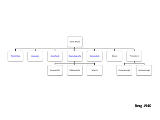 Classification of fishes | PPTX