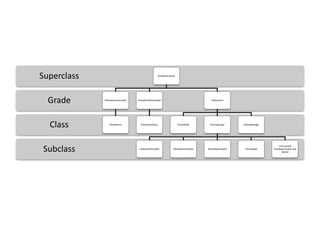 Classification of fishes | PPTX