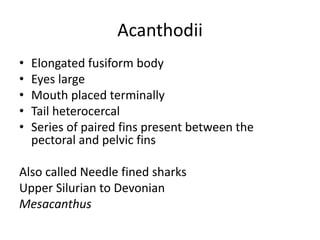Classification of fishes | PPTX