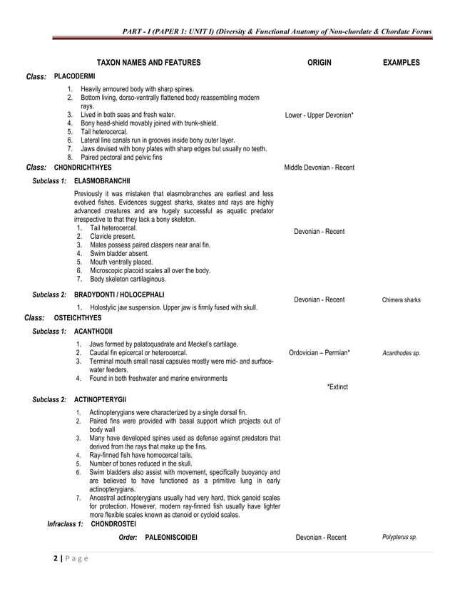 CLASSIFICATION OF FISHES in details all describe | PDF