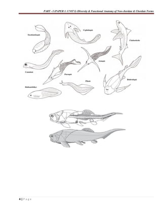 CLASSIFICATION OF FISHES in details all describe | PDF