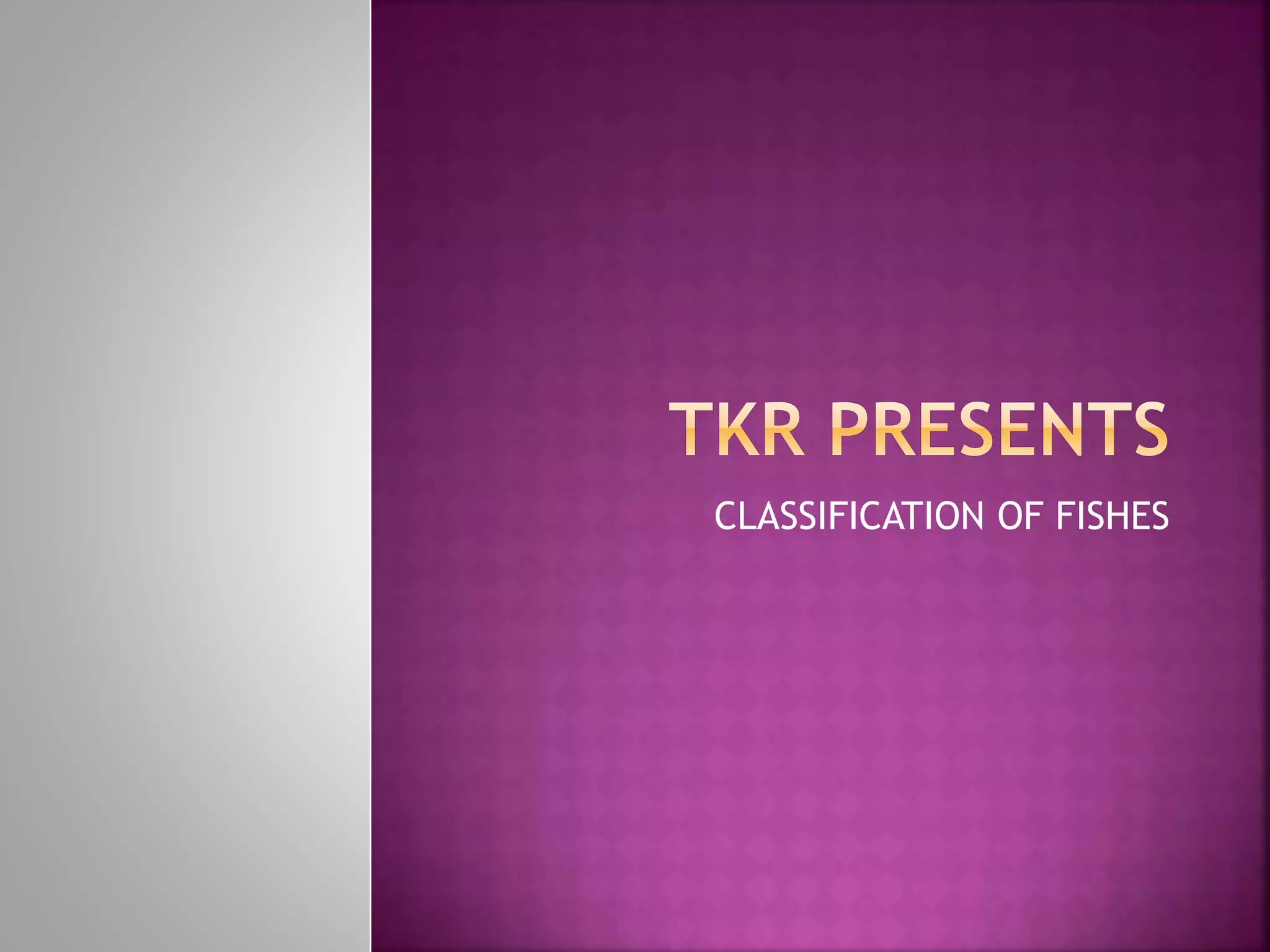 fishes, Classification of fishes, types of fishes, Study of fishes | PPTX