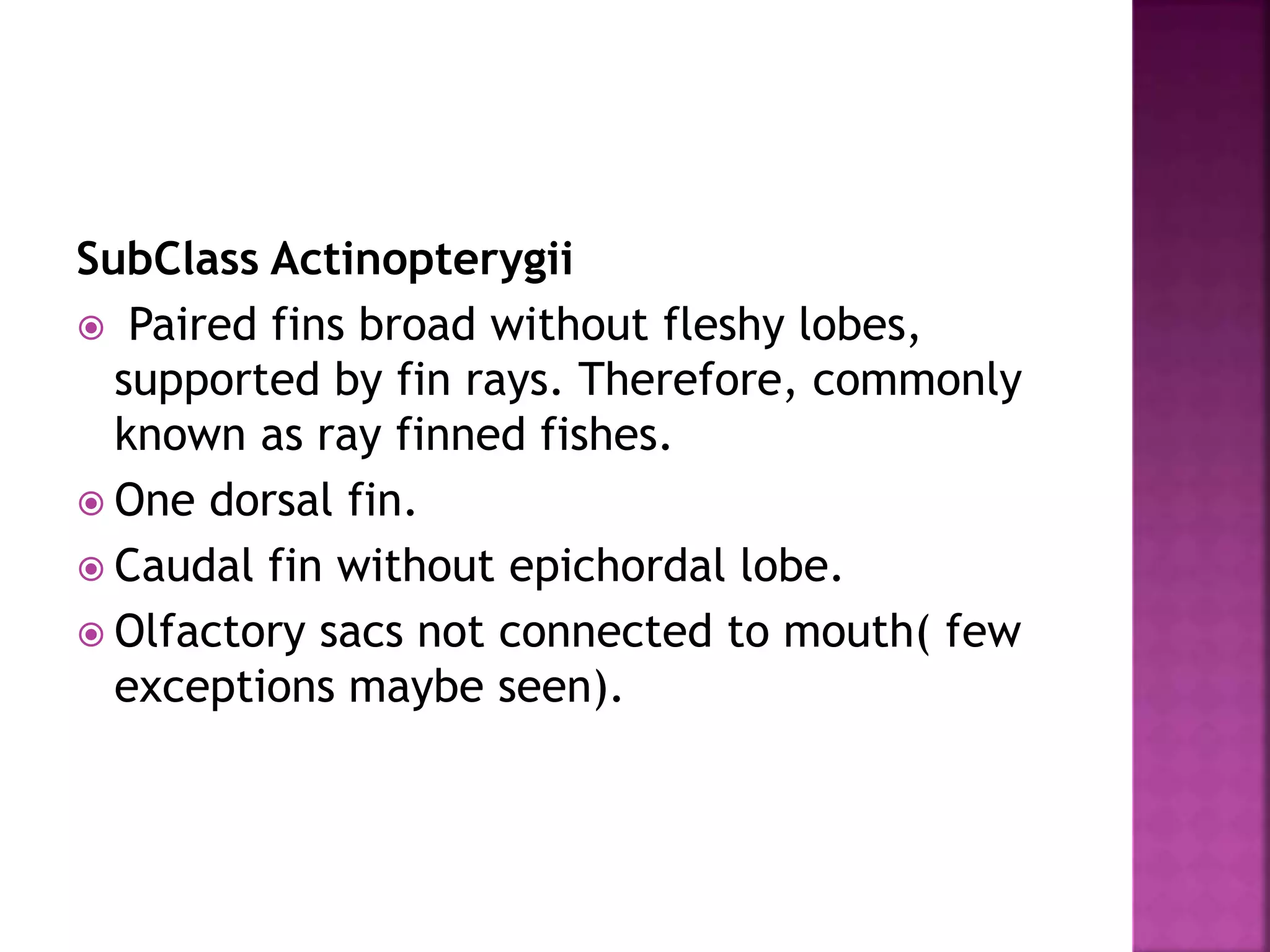 fishes, Classification of fishes, types of fishes, Study of fishes | PPTX