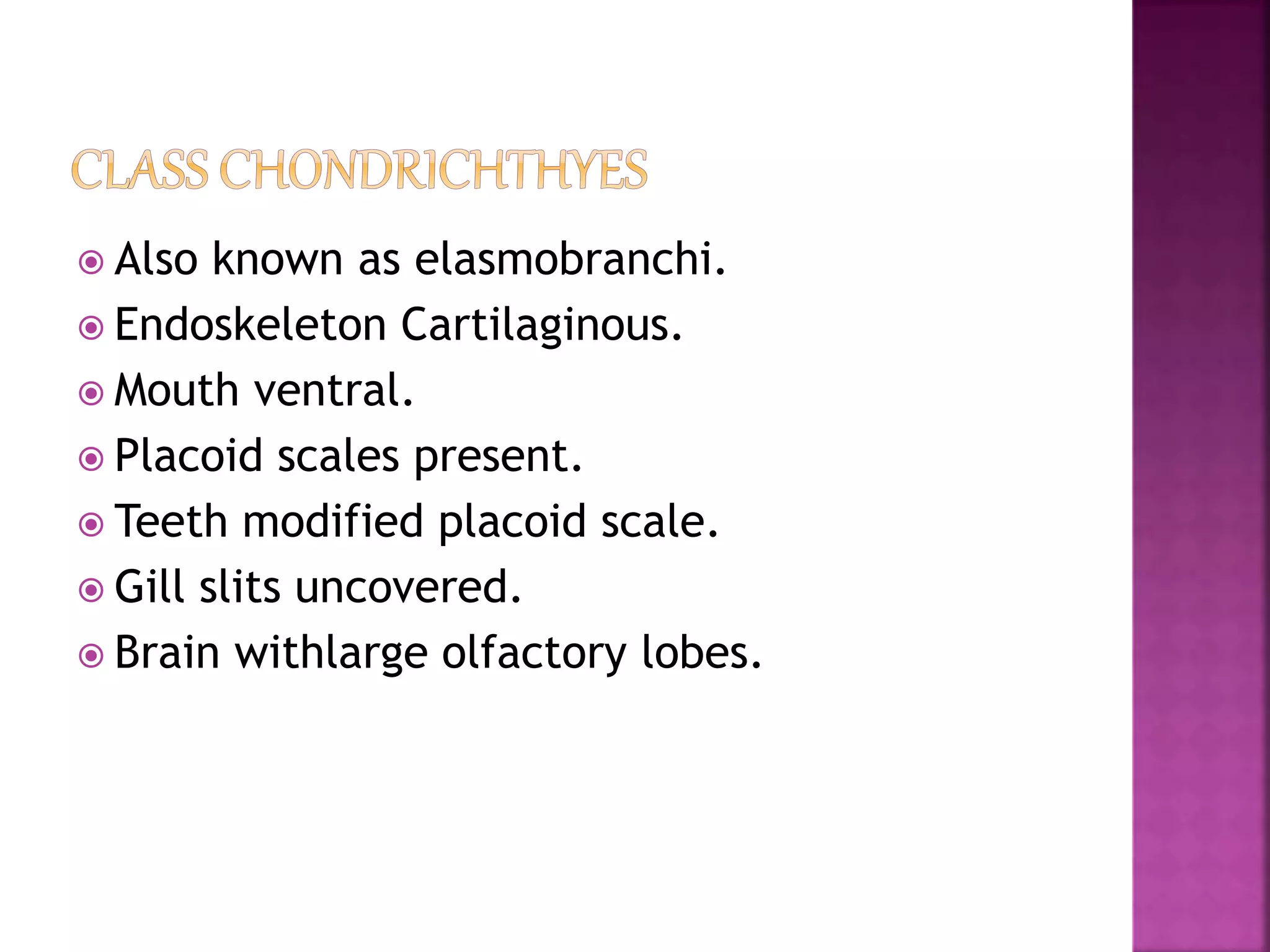 fishes, Classification of fishes, types of fishes, Study of fishes | PPTX