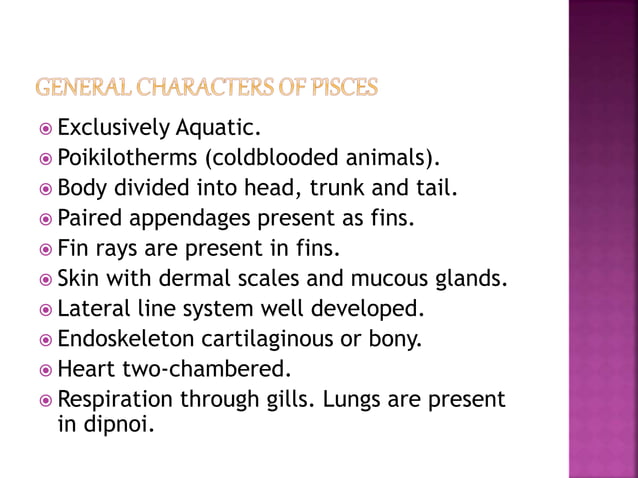 fishes, Classification of fishes, types of fishes, Study of fishes | PPTX