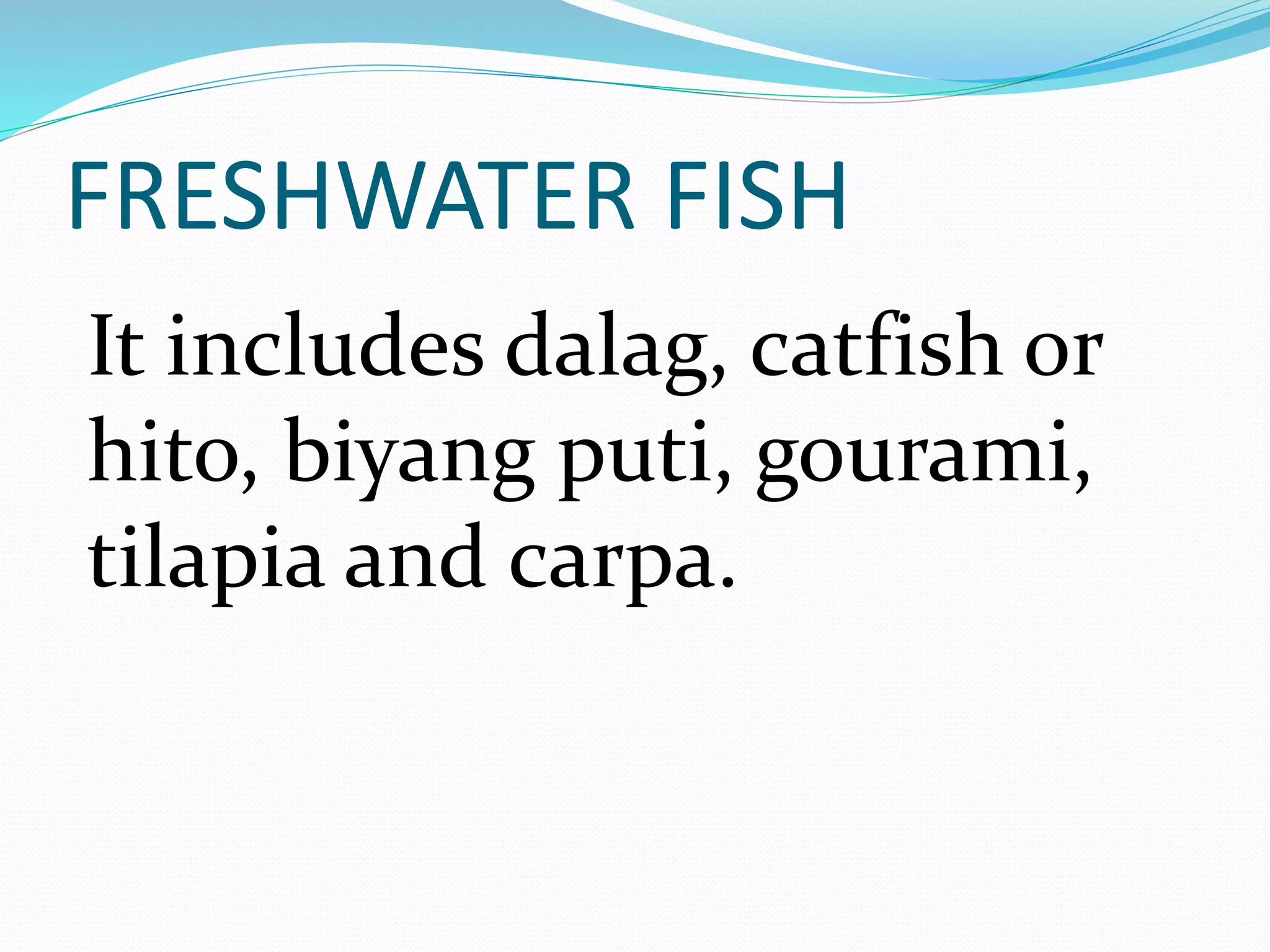 Classification of fish species | PPTX