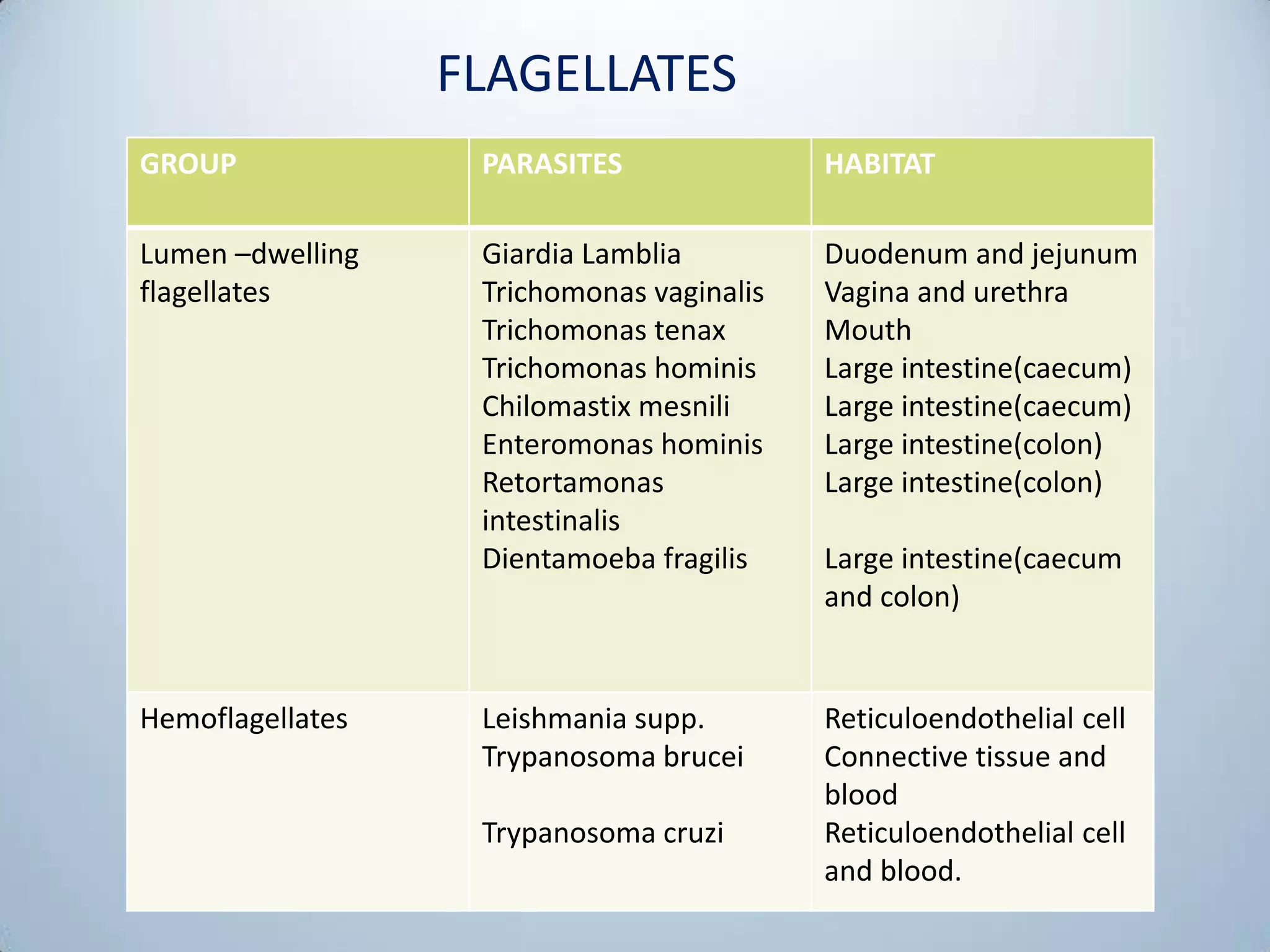 Classification of flagellates and giardia lamblia | PDF