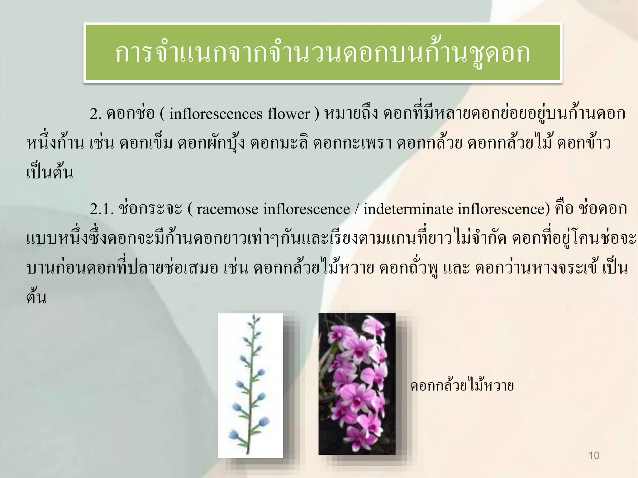 Classification of flowers | PPTX