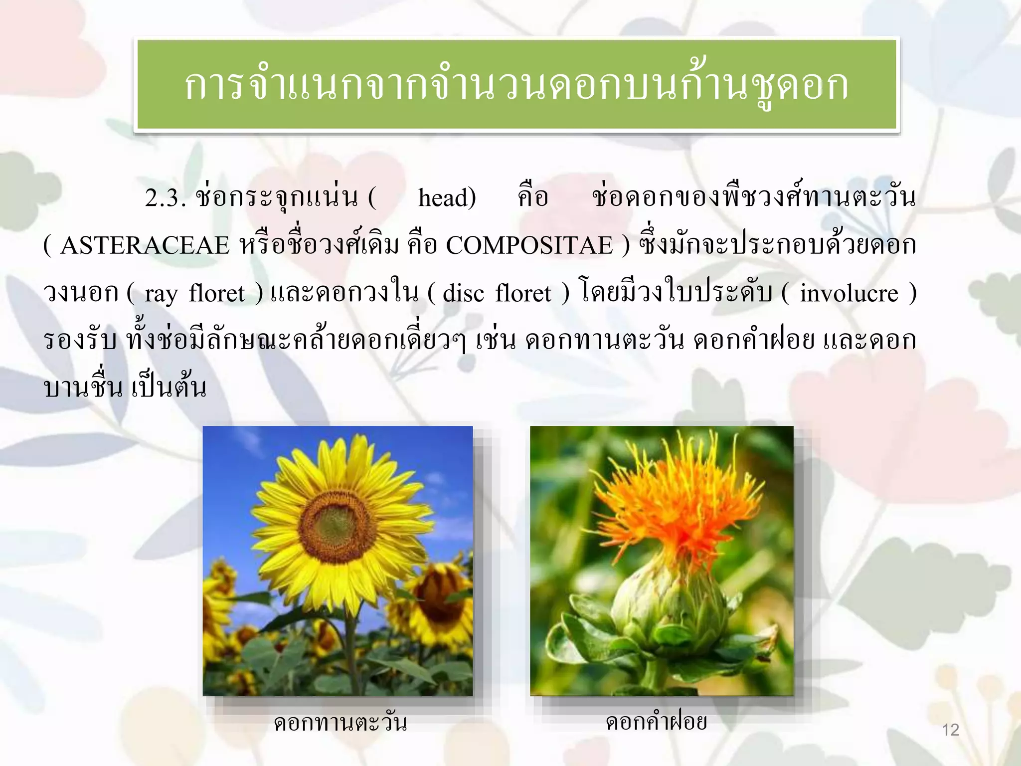 Classification of flowers | PPTX