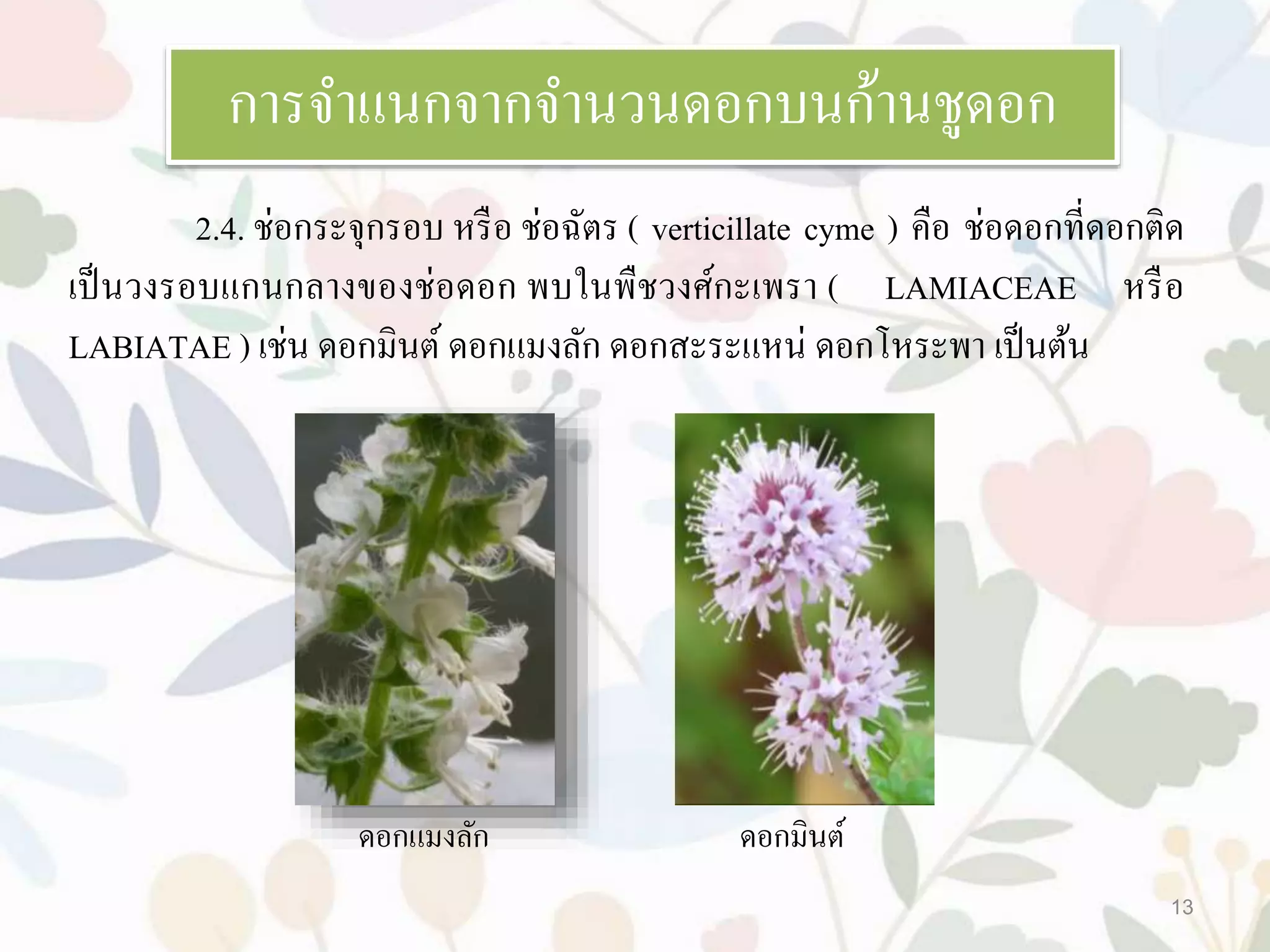 Classification of flowers | PPTX