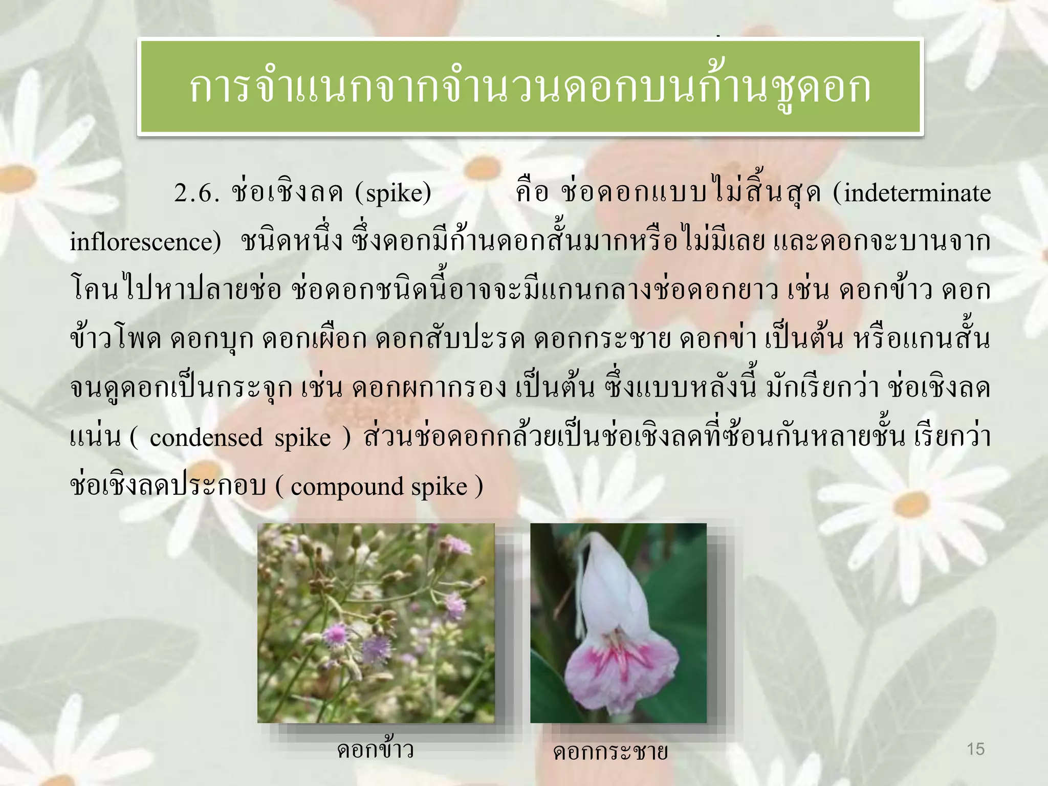 Classification of flowers | PPTX