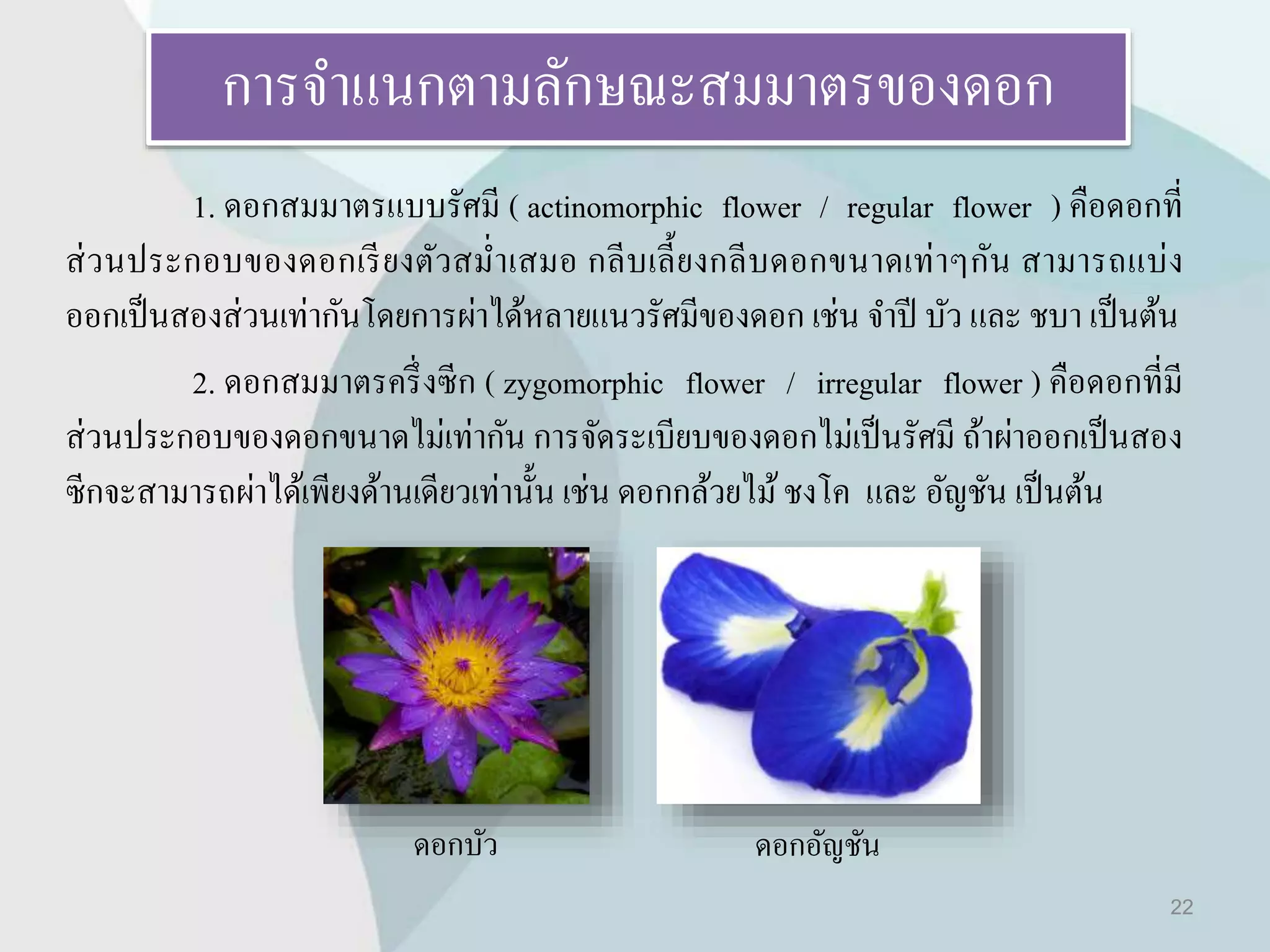 Classification of flowers | PPTX
