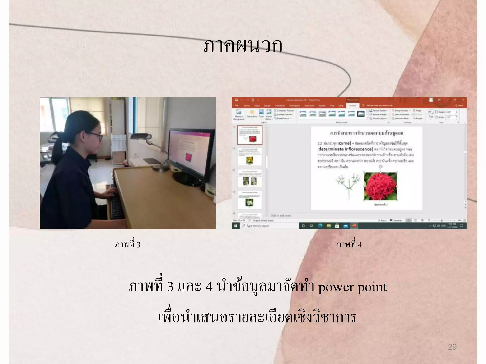 Classification of flowers | PPTX