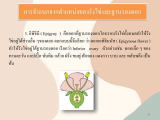 Classification of flowers | PPTX