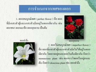Classification of flowers | PPTX